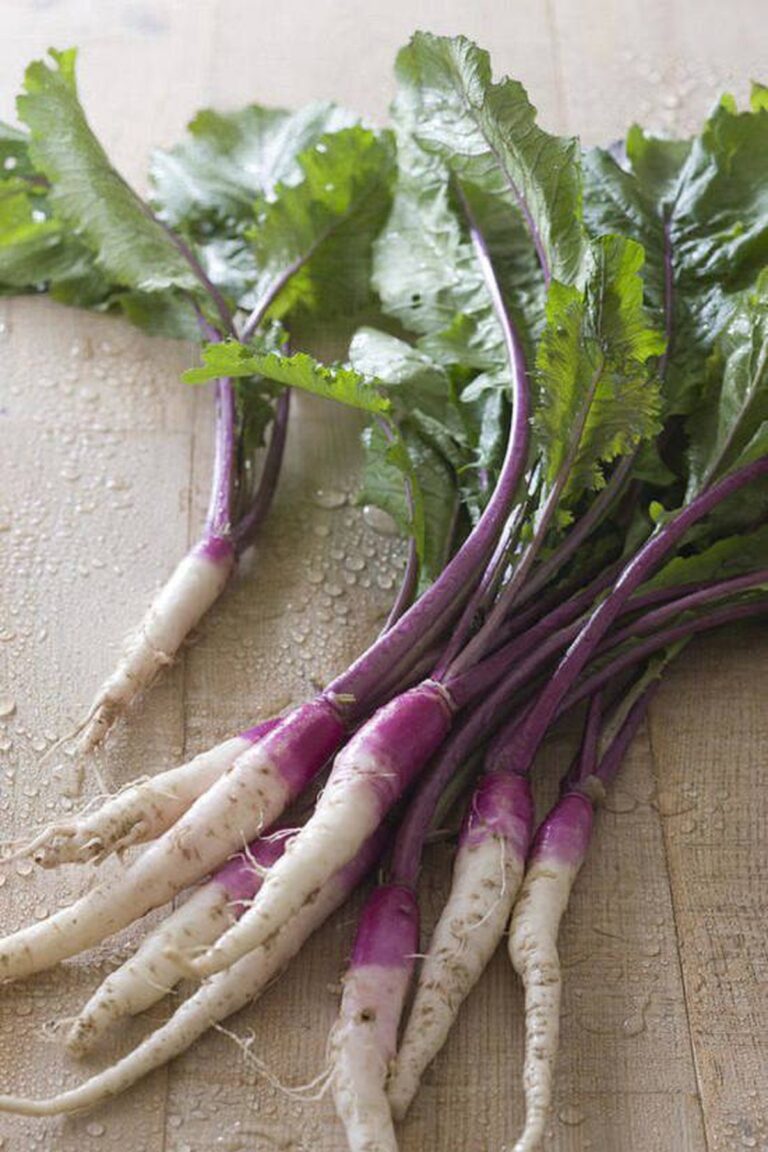 23 Delicious Types of Turnips: Best Varieties for Your Garden