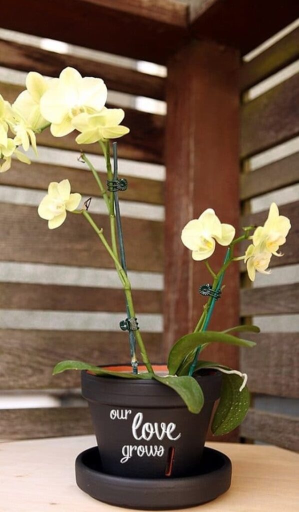 60 Creative DIY Pot Painting Ideas For The Garden to Try Today