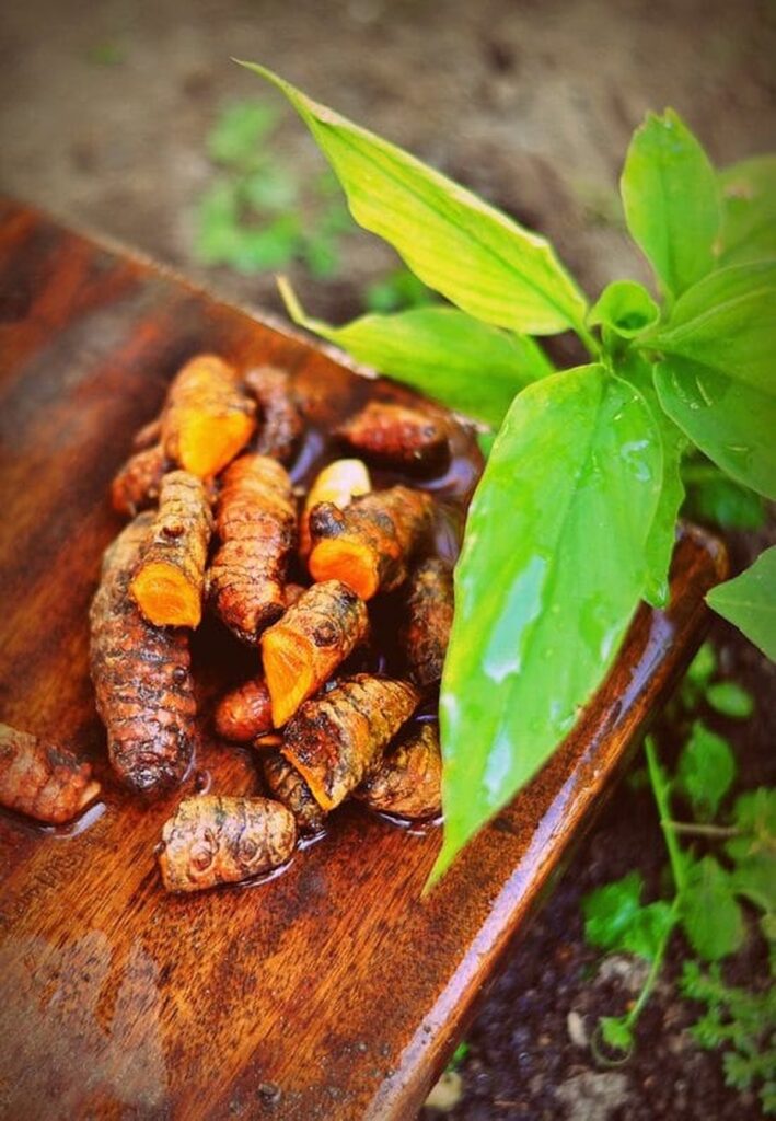14 Magical Plants That Deter Ants Naturally