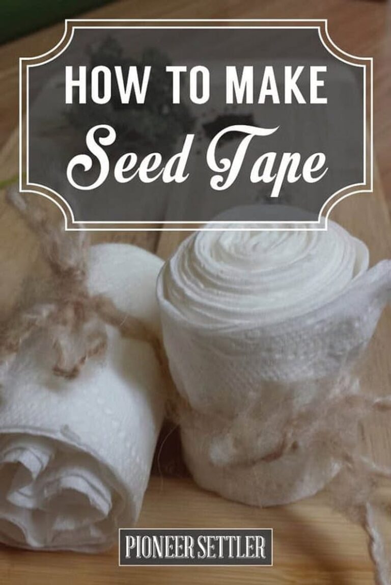 26 Clever DIY Seed Starting Hacks That Save Money and Time