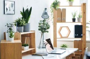20 Charming Office Plant Decor Ideas for a Fresh Workspace