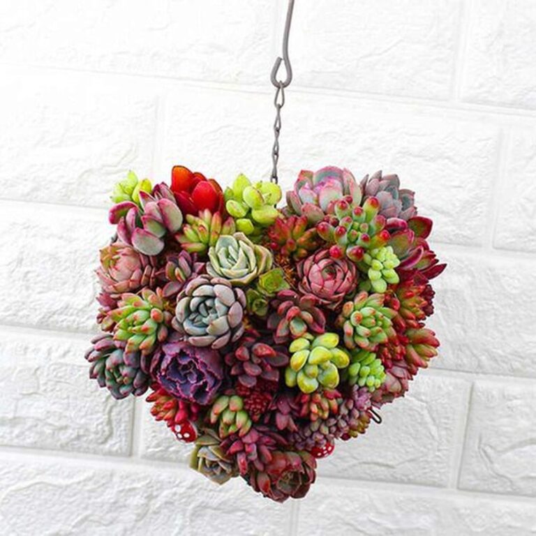 28 Gorgeous Succulent Hanging Garden Ideas to Inspire Your Space