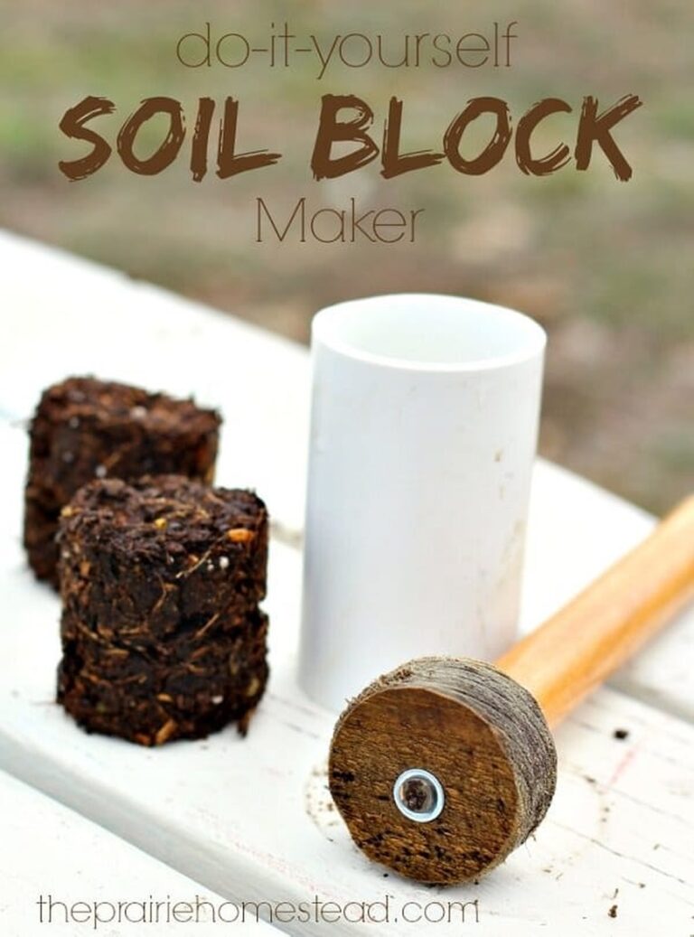 26 Clever DIY Seed Starting Hacks That Save Money and Time