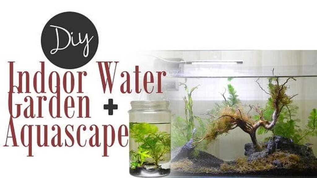 25 Delightful DIY Indoor Water Garden Ideas for Green Homes