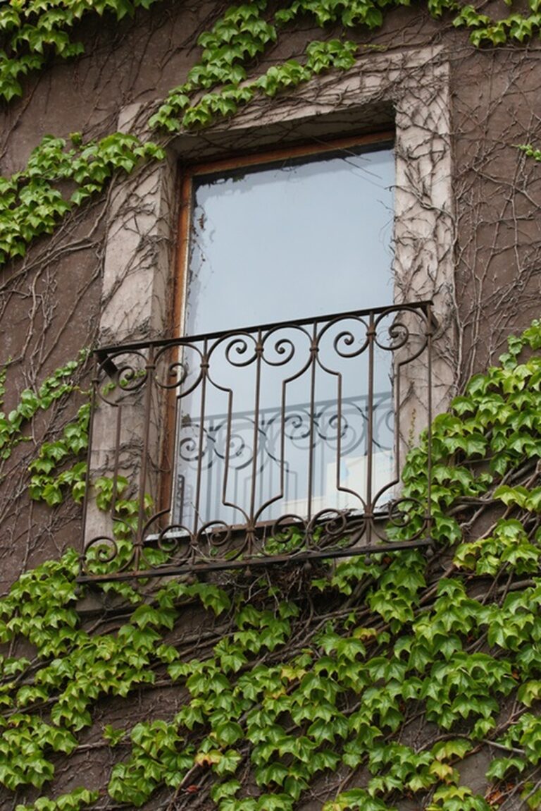 10 Amazing Clinging Vines That Climb on Anything Naturally