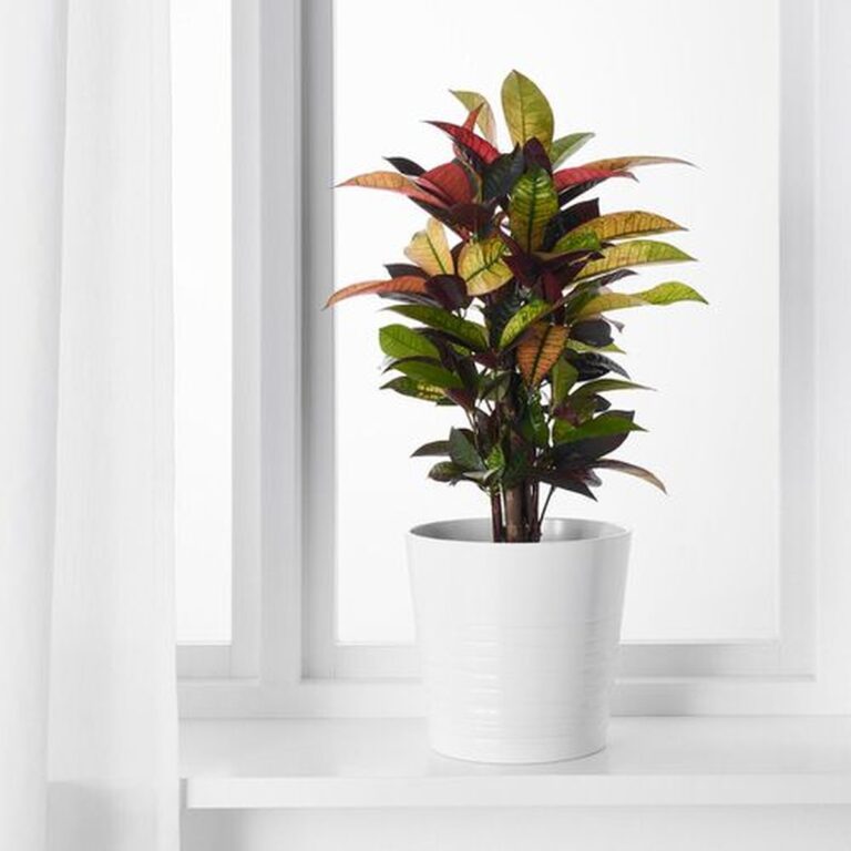 27 Stunning Ways IKEA Pots Transform Your Indoor Plants