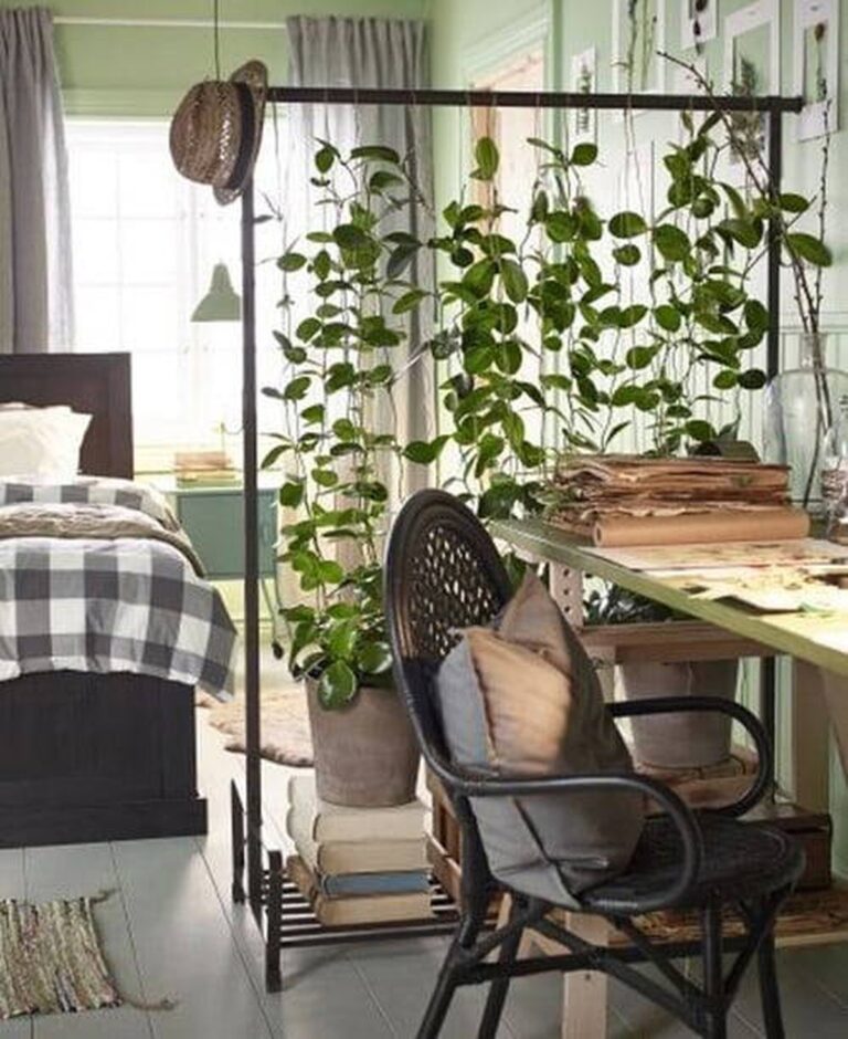 21 Gorgeous Indoor Plants Room Divider Ideas for Your Space