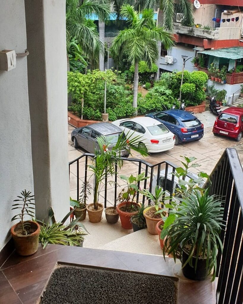20 Stunning Plants for Steps and Staircases That Transform Space