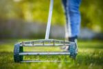 13 Super Effective Lawn Care Tips For A Dreamy Green Yard