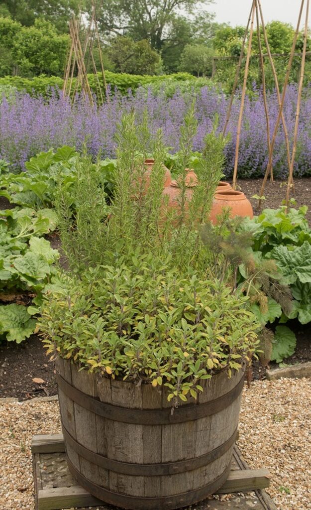 14 Effective Plants That Keep Lizards Away From Home & Garden