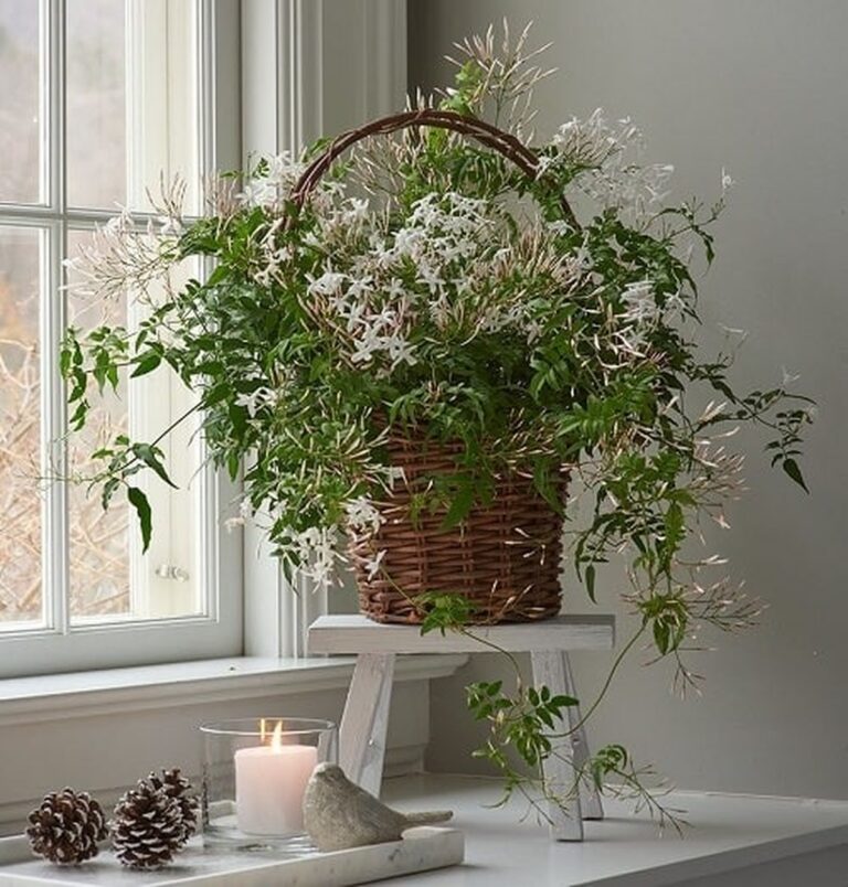 18 Beautiful Sacred Plants That Inspire Wonder Worldwide