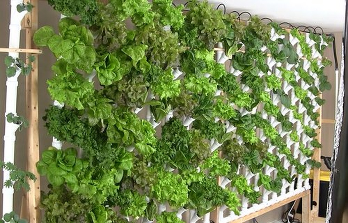12 Fabulous DIY Vertical Lettuce Garden Ideas for Green Thumbs