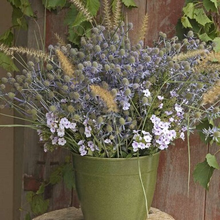 36 Stunning Blue Flowers That Thrive Beautifully in Containers