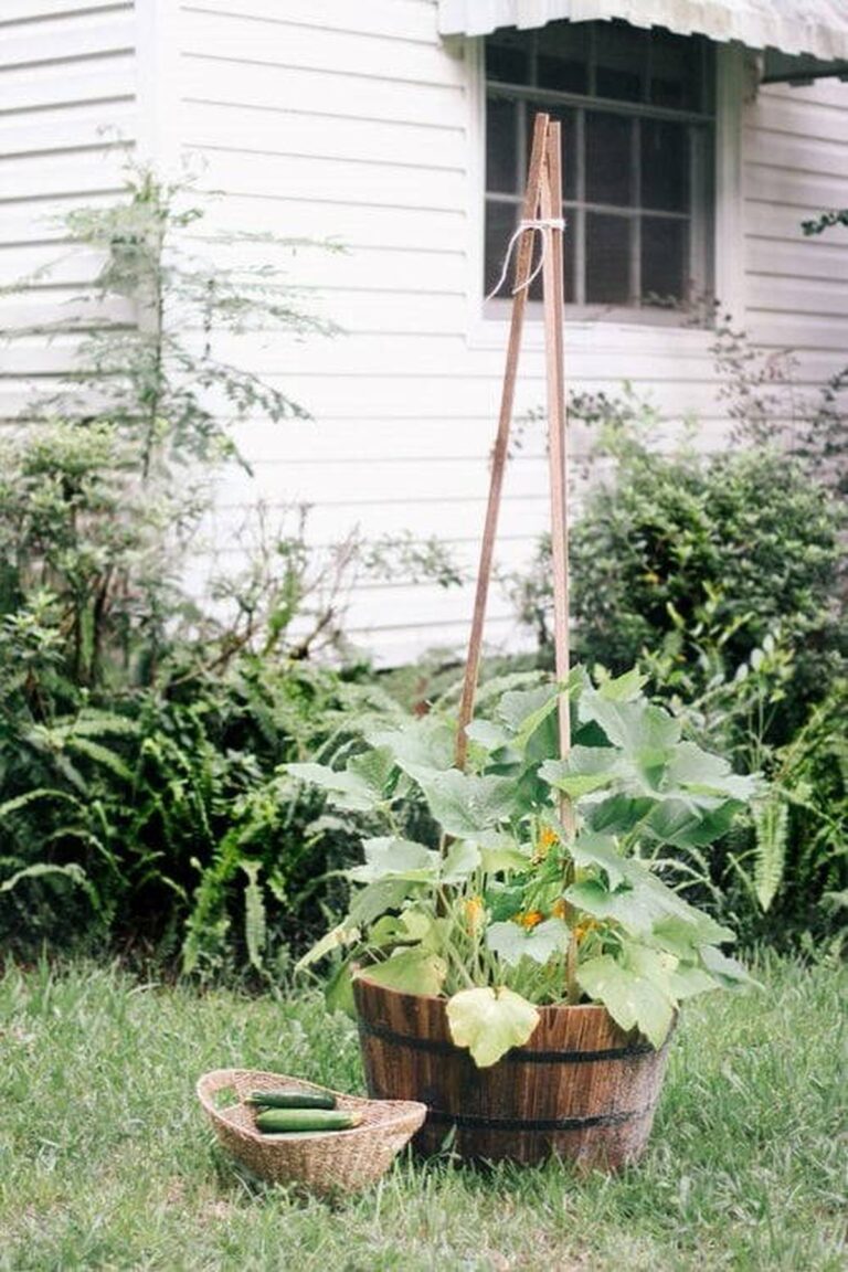 14 Charming DIY Zucchini Trellis Ideas for Your Garden