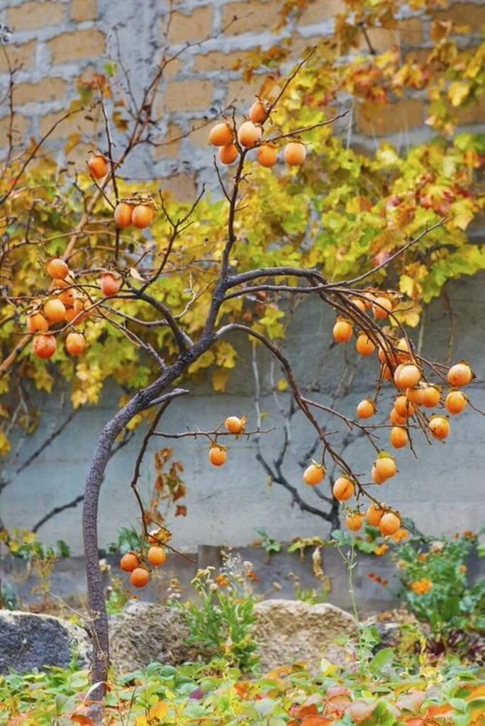 15 Amazing Wild Edible Plants in Georgia that Also Grow in Garden