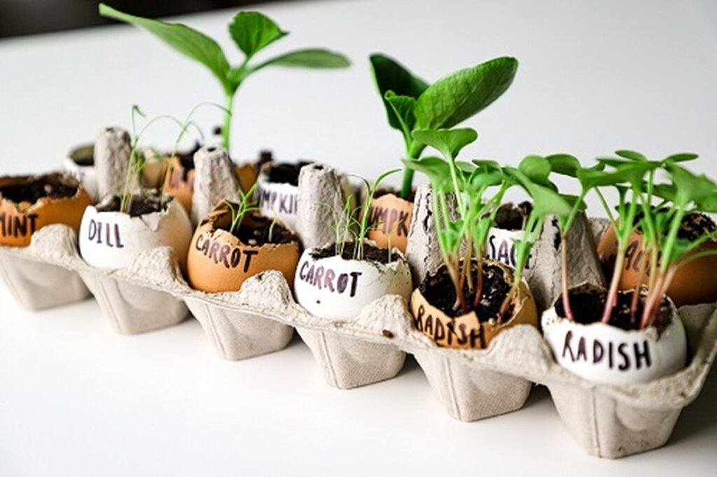 12 Clever DIY Plant Saucer Ideas That Protect Your Floors