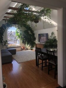 29 Stunning Plant Ceiling Ideas to Transform Your Space