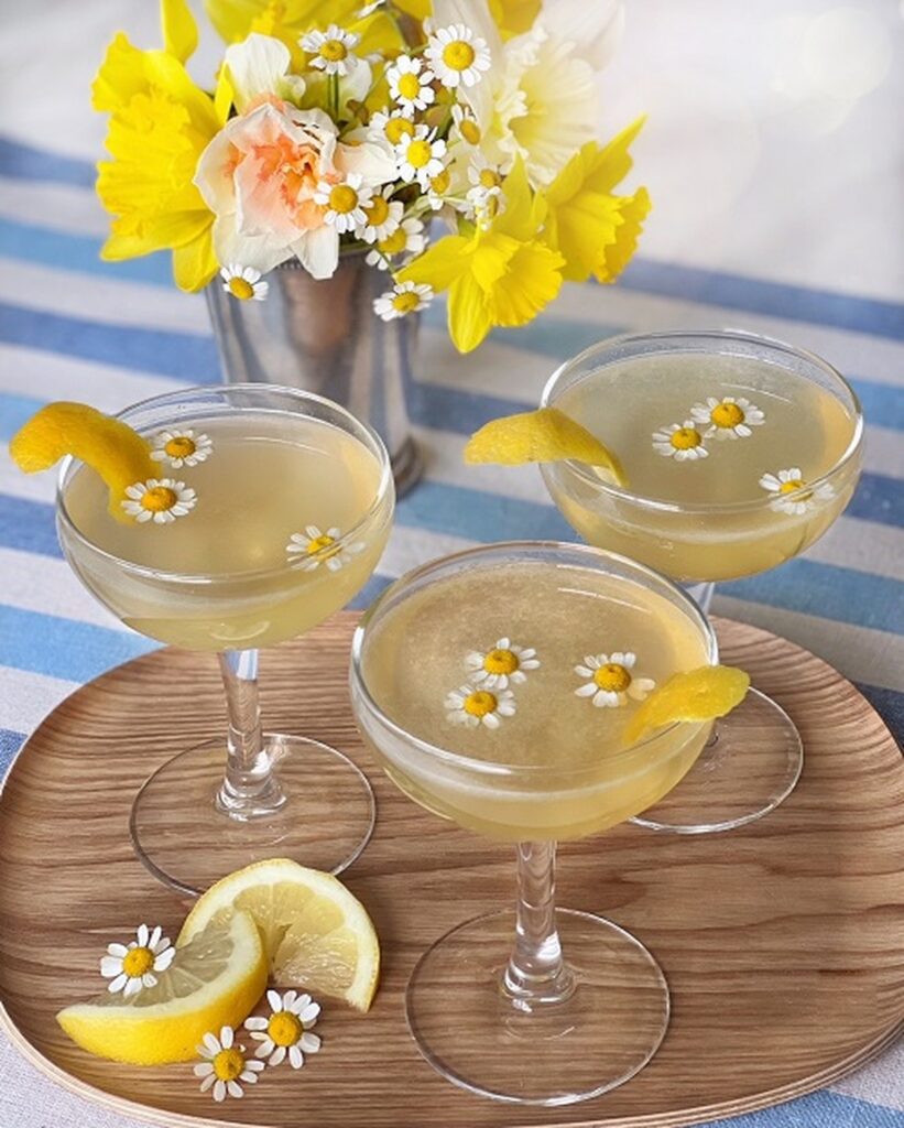 32 Delicious Edible Flowers for Cocktails to Brighten Your Drinks