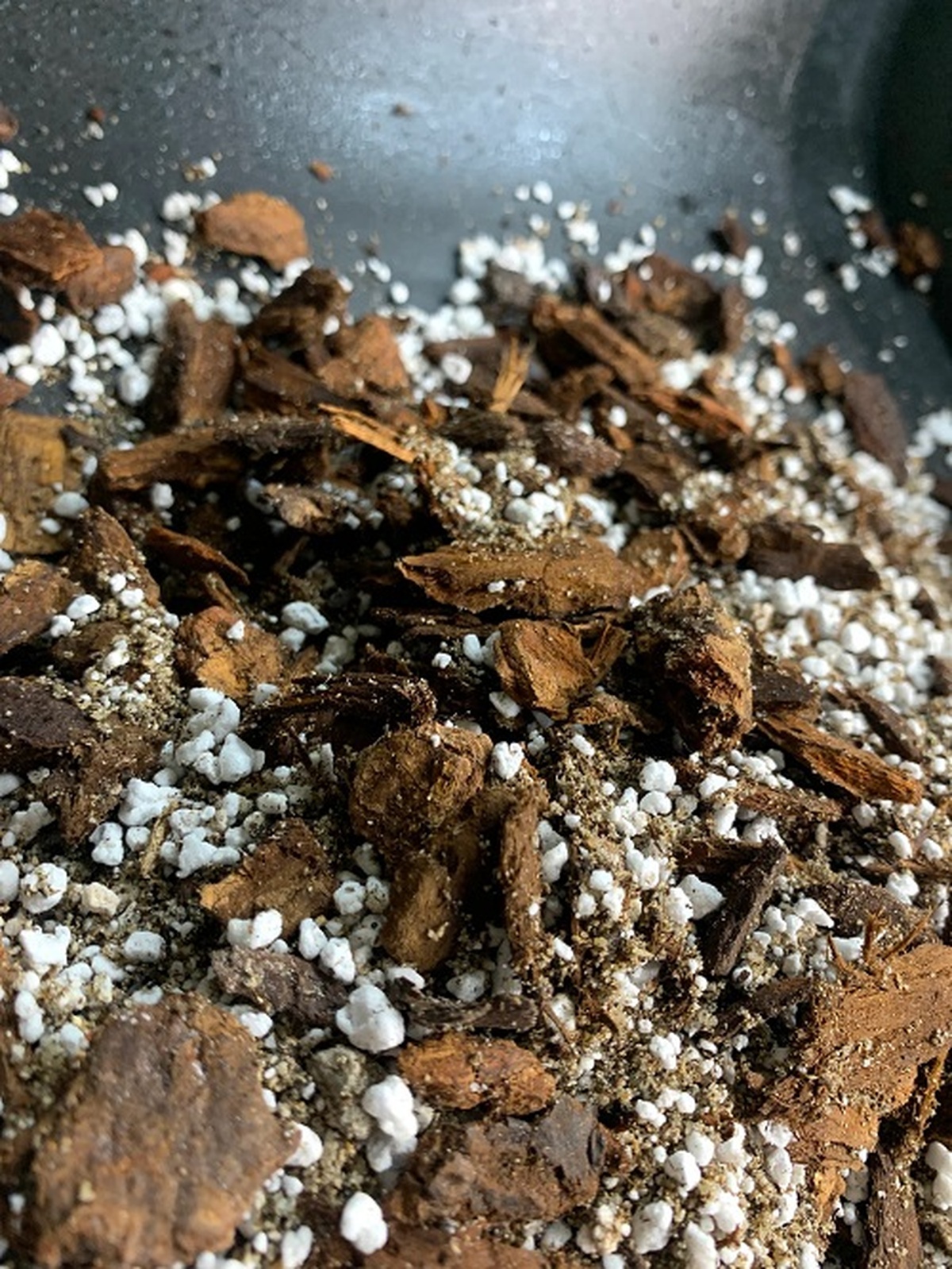 5 Amazing Aroid Soil Mix Ideas That Plants Actually Crave