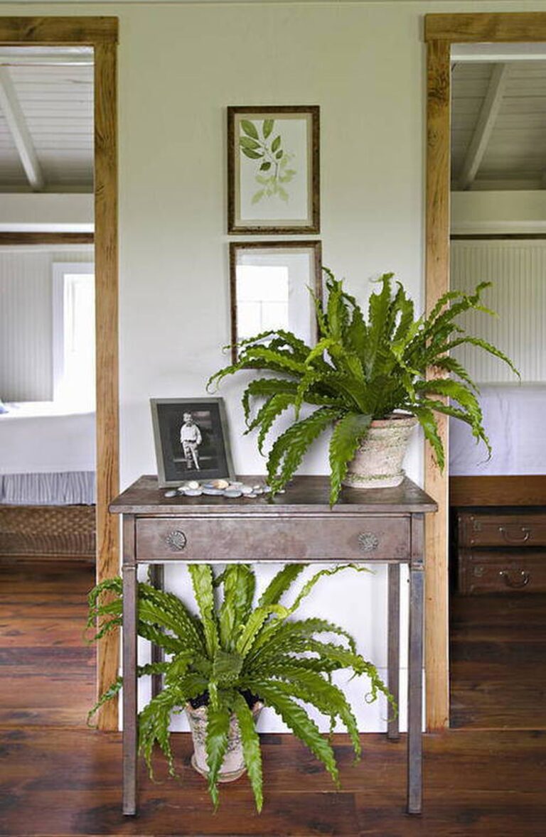 22 Stunning Ways to Decorate Your Home with Big & Lush Ferns
