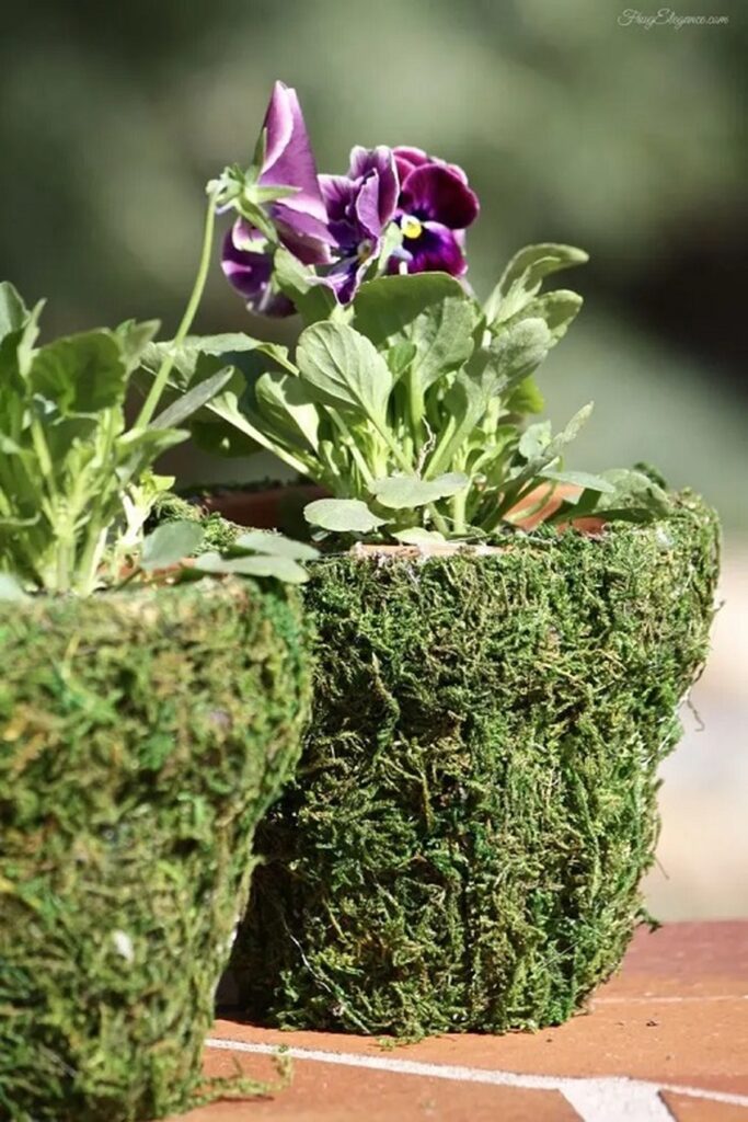 21 Charming DIY Garden Pots Using Everyday Items From Home