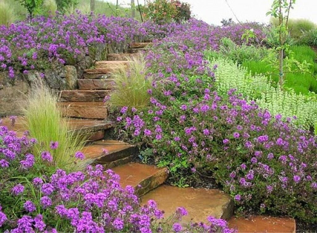 26 Beautiful Perennial Combinations That Transform Gardens