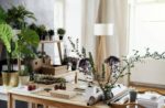 17 Delightful Indoor Plant Home Office Ideas to Refresh Your Space