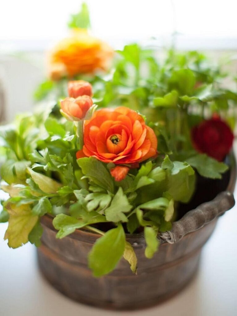 13 Beautiful Flowers That Represent Femininity and Grace