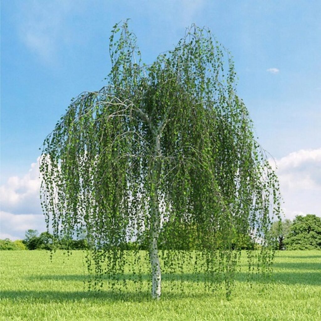 21 Amazing Trees That Reduce Pollution Effectively