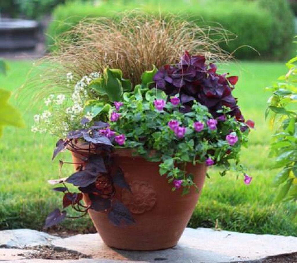 20 Creative Hosta Container Ideas for Shade Gardens That Amaze