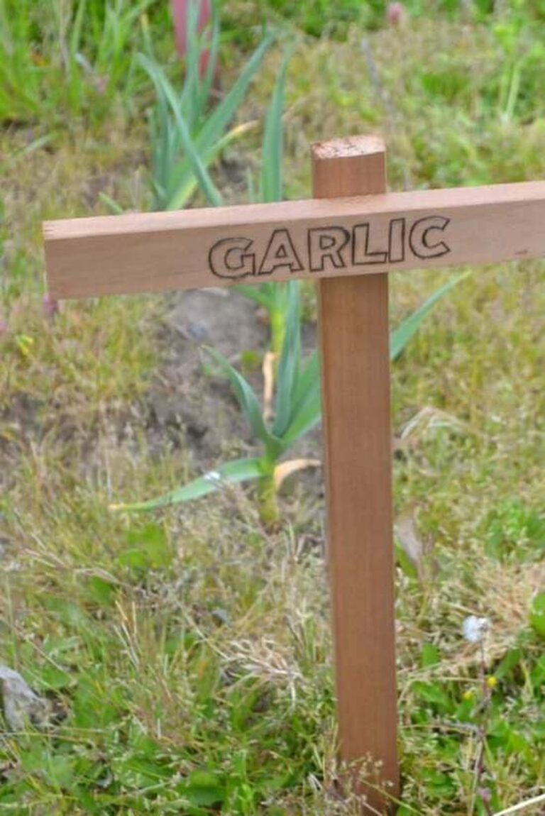 23 Amazing DIY Garden Stake Ideas That Spark Joy