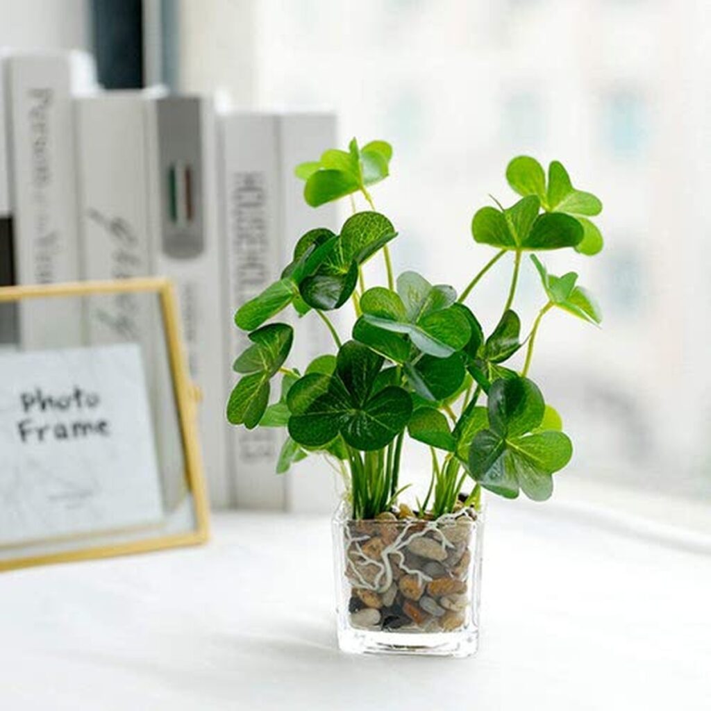 17 Amazing Lucky Plants and Flowers for Fortune That Dazzle