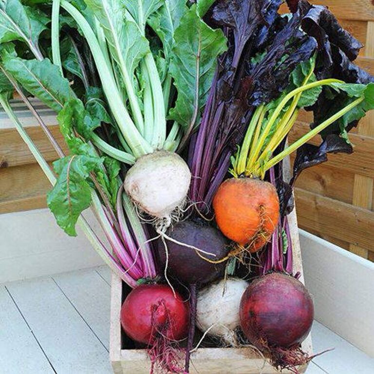 19 Gorgeous Colorful Vegetables to Brighten Your Garden Today