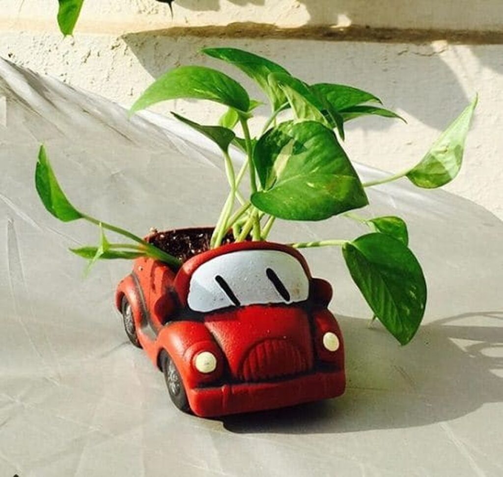 41 Creative DIY Instagram Garden Ideas That Transform Outdoor Spaces