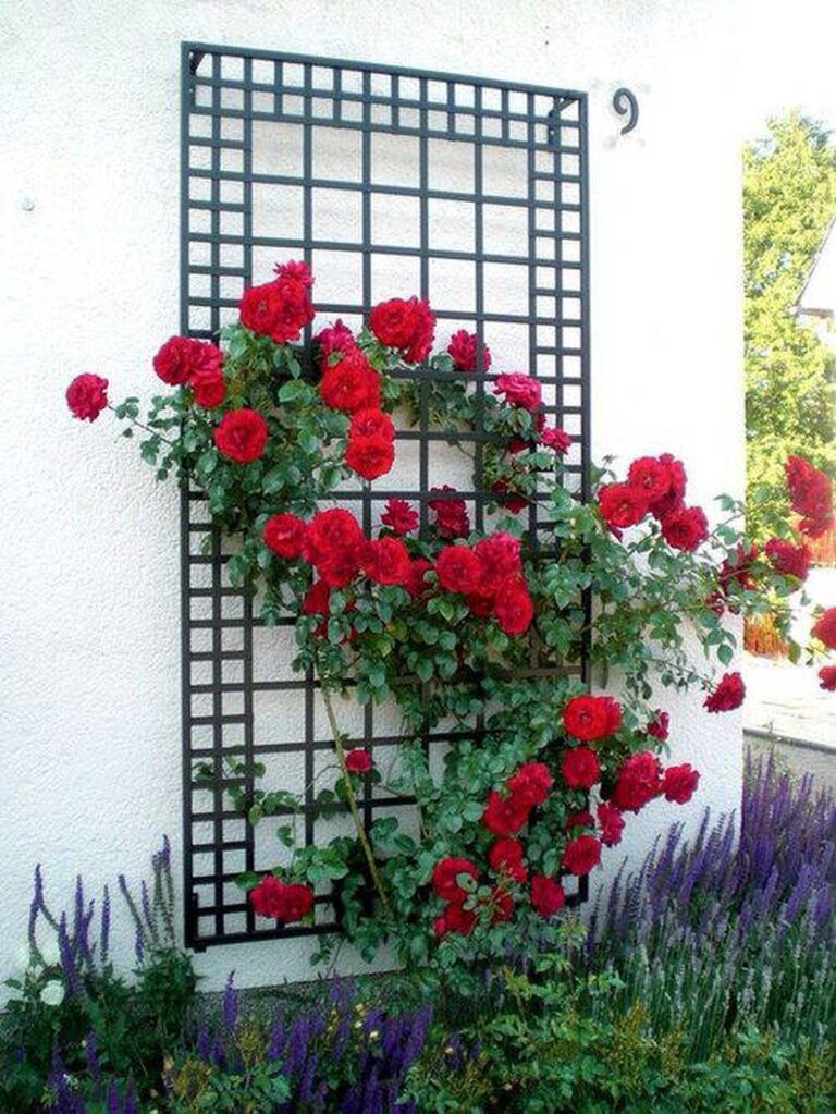 26 Beautiful DIY Rose Trellis Ideas for Your Garden