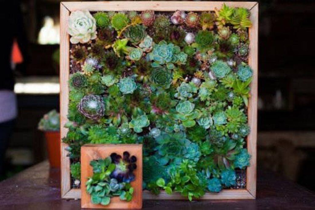 23 Amazing DIY Indoor Plant Wall Projects for a Cozy Living Space