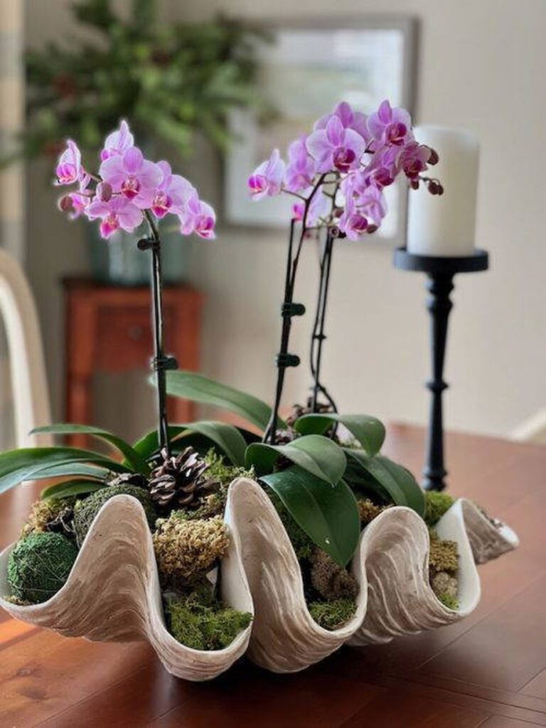 19 Stunning Orchid Arrangement Ideas to Brighten Your Space
