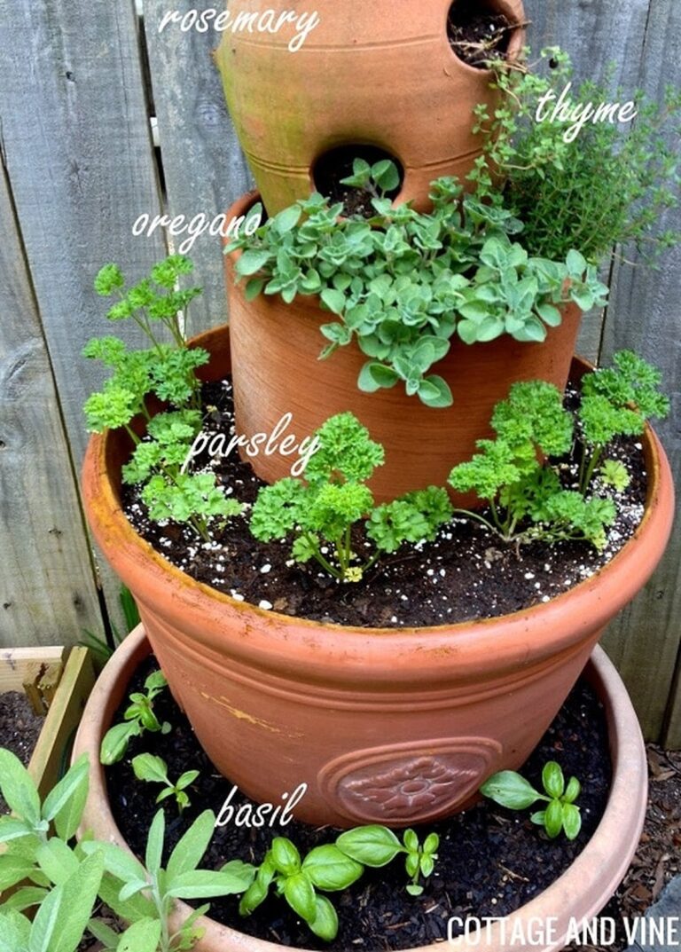 12 Clever Space Saver DIY Herb Tower Ideas for Small Gardens