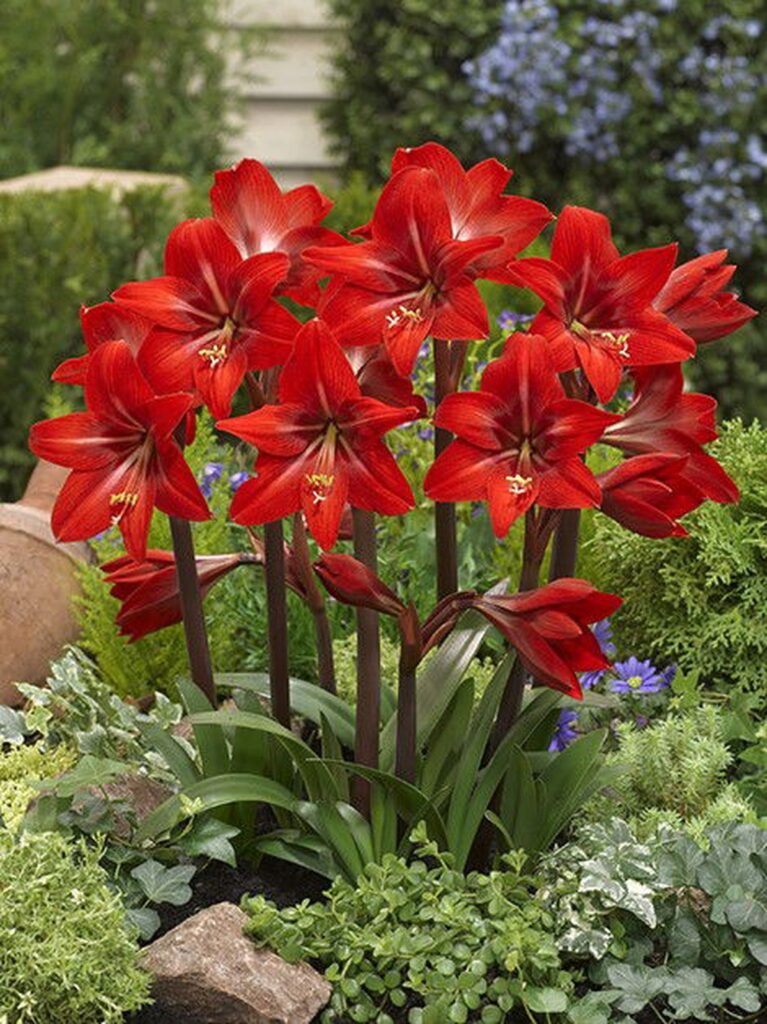 15 Strikingly Bold Flowers That Redefine Macho Masculinity