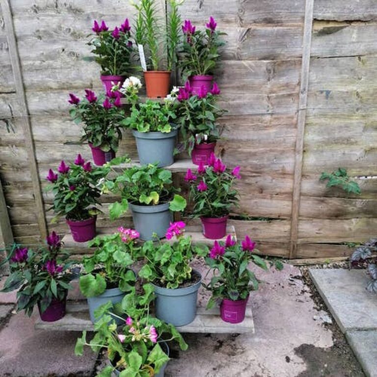 28 Genius Garden Plant Shelf Ideas to Brighten Your Outdoor Space
