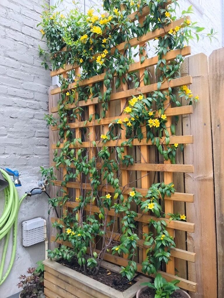 16 Vines That Can Grow on Trees: Find Your Perfect Match