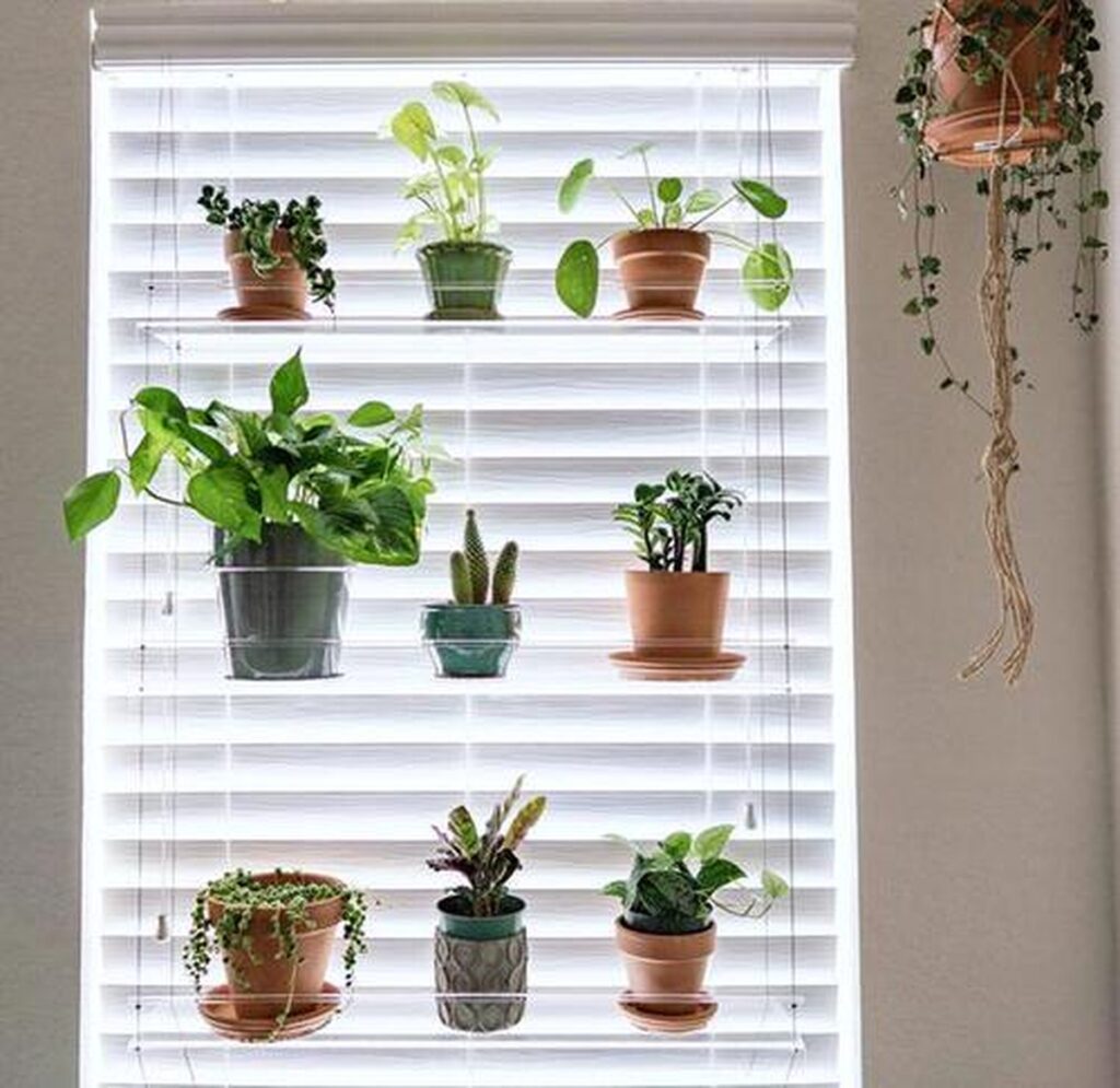 26 Charming Indoor Window Shelf Ideas for Plants to Brighten Up