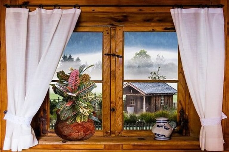 15 Gorgeous Victorian Era Houseplants for Classic Indoor Charm