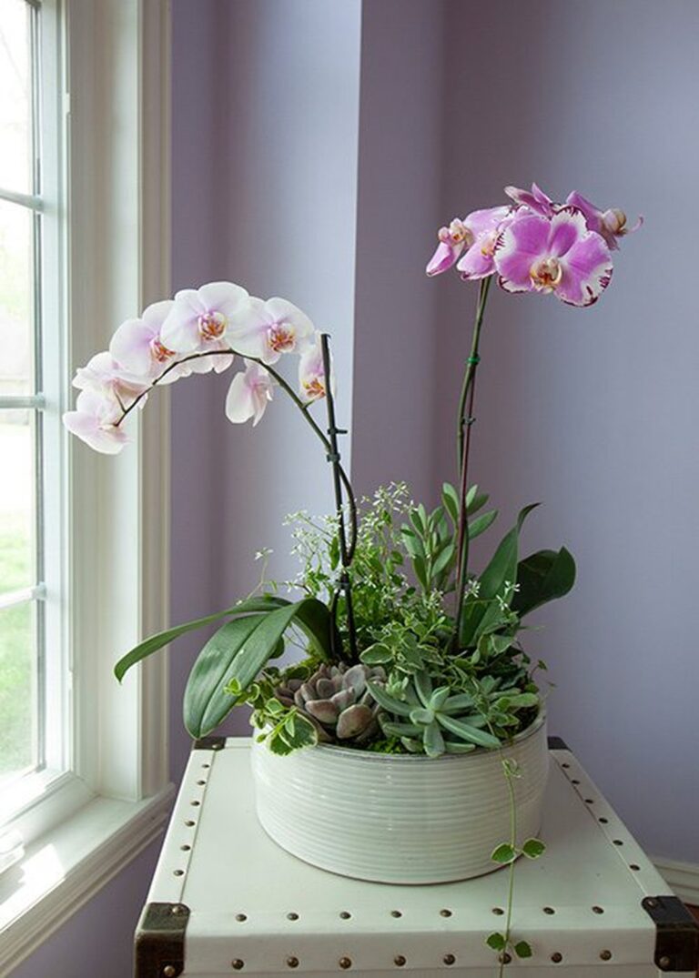 20 Stunning DIY Orchid Pot Ideas to Brighten Your Home