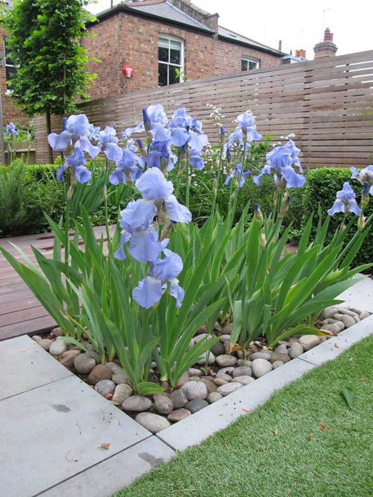 24 Stunning Iris Arrangement Ideas That Brighten Any Space
