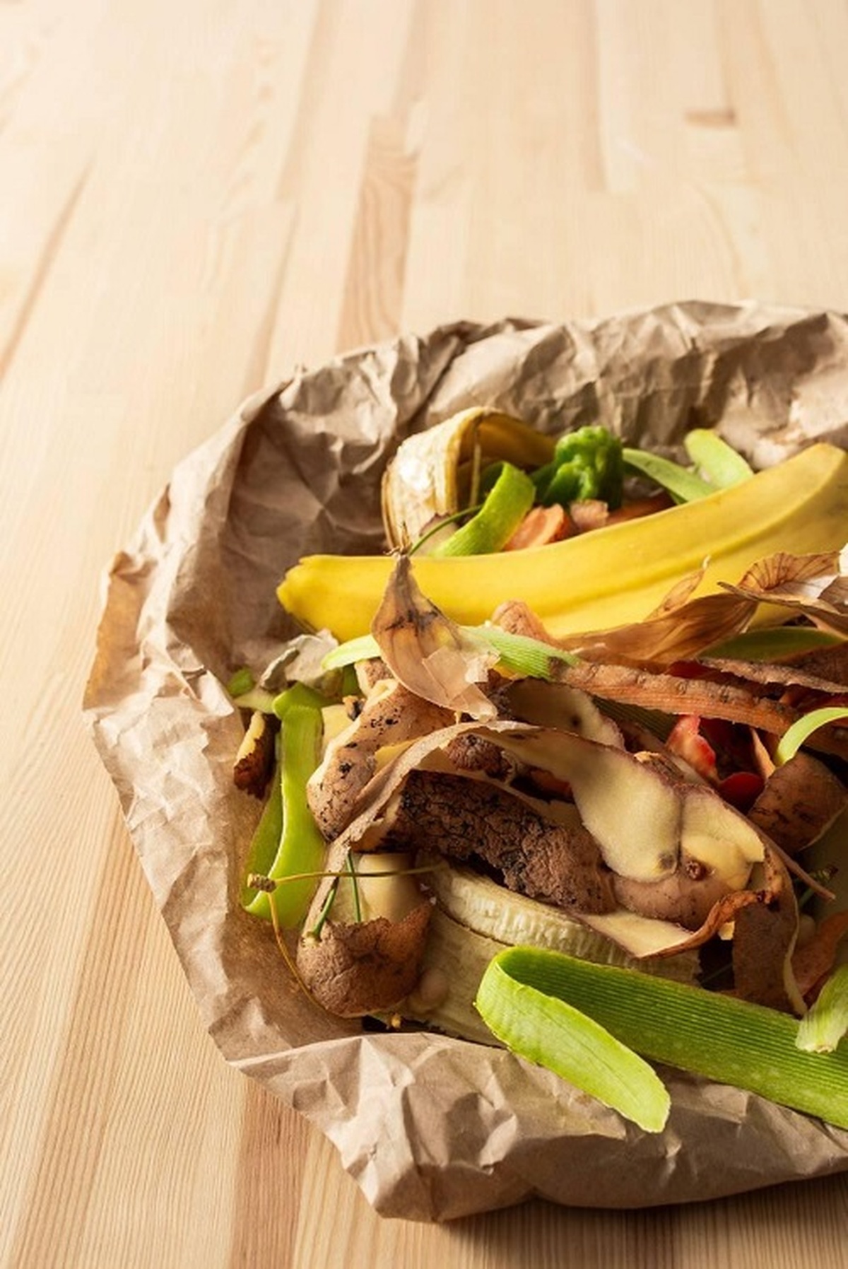 Where Gnats Coming From and How to Stop Them at the Source