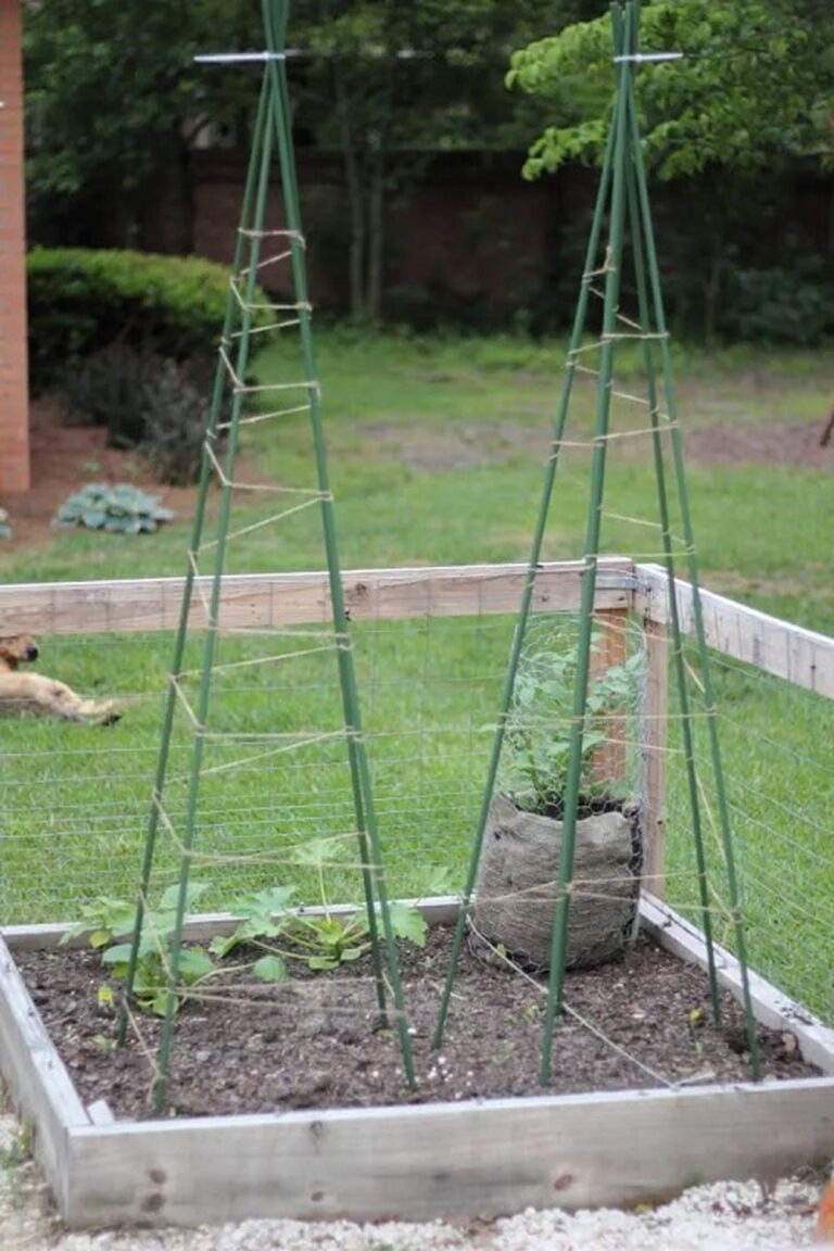 26 Simple and Creative DIY Bean Trellis Ideas for Your Garden