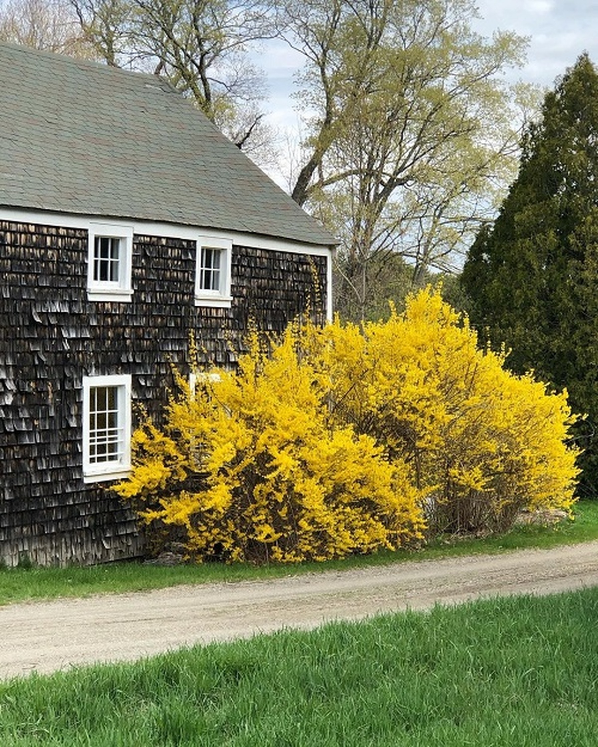 13 Gorgeous Plants to Grow from Cuttings in Fall