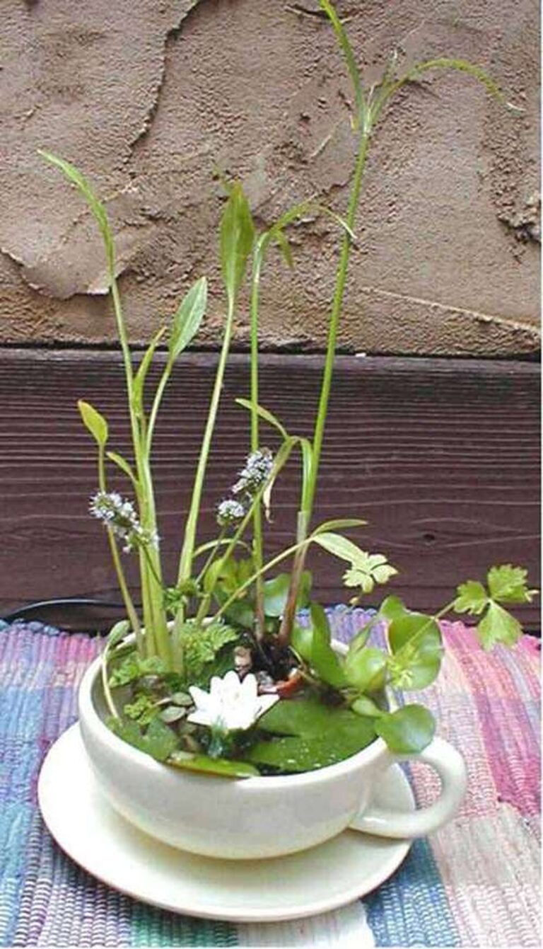31 Adorable DIY Teacup Garden Ideas Everyone Will Love