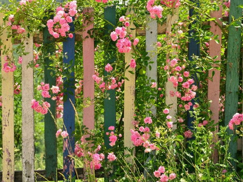 26 Beautiful DIY Rose Trellis Ideas for Your Garden